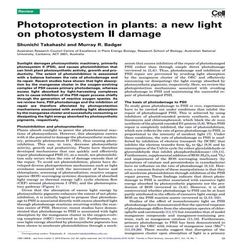 Photoprotection in plants | PDF