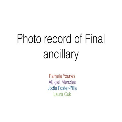 Photo record | PDF