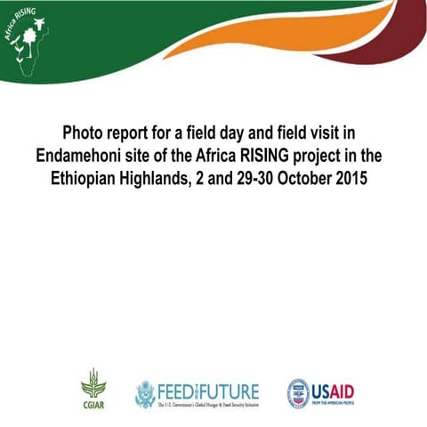 Photo report from a field day and field visit in Endamehoni site of the ...