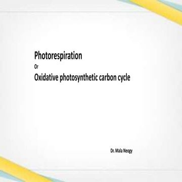 Photorespiration | PPTX