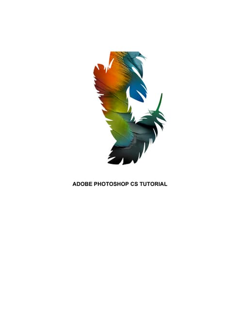 Introduction- The Basics of Photoshop CS6 | PPTX | Photo Editing ...