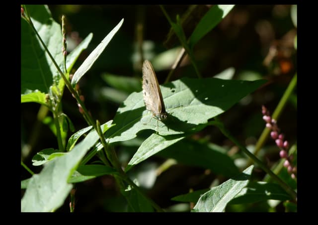 Basic exercises for photoshop | DOCX