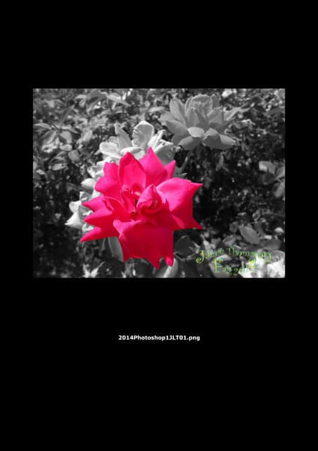 Basic exercises for photoshop | DOCX