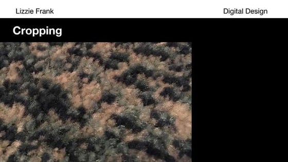 Assignment Four | PDF | Photo Editing Software | Computer Software and Applications