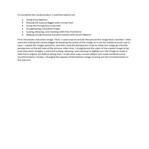 Photoshop project narrative 2 | DOCX