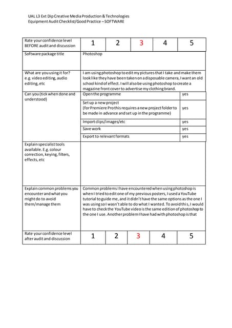 Software audit form blank(1) | PDF