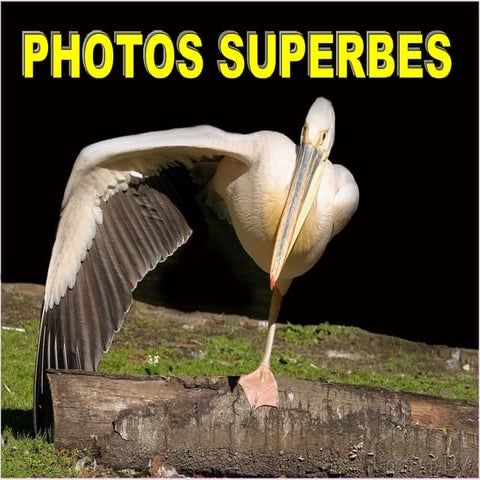 Super Photos | PPS