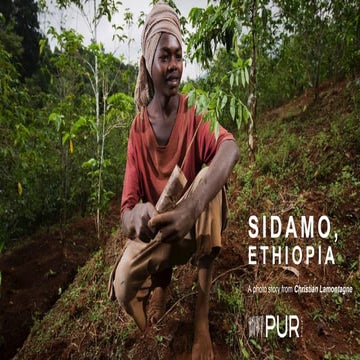 SIDAMO, Ethiopia | PPT