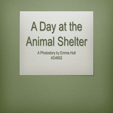 A Day at the Animal Shelter | PPTX