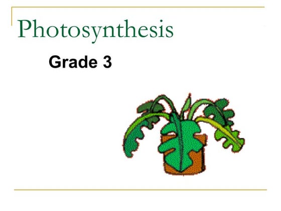 Photosynthesis and respiration powerpoints | PPT