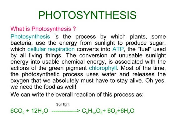 The importance of photosynthesis in the ecosystem | PPT
