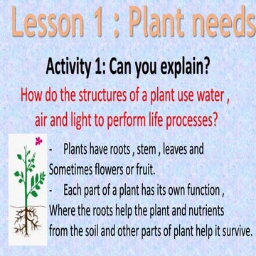Unit 3 L1.pptx What do plants need to live | PPTX