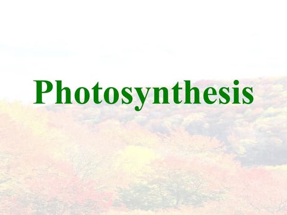 Photosynthesis class 10.pptx | Chemistry | Science