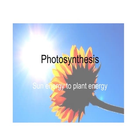 Photosynthesis | PPT