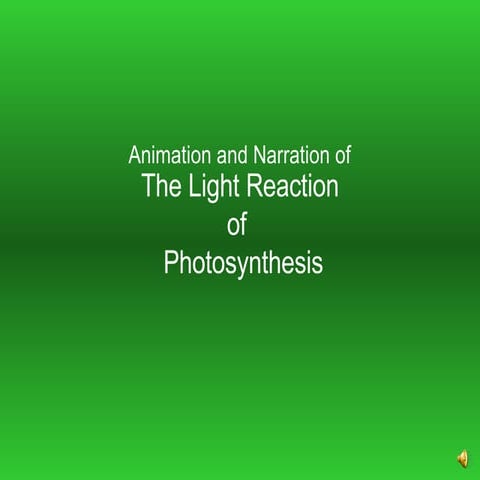 Photosynthesis 1 | PPT