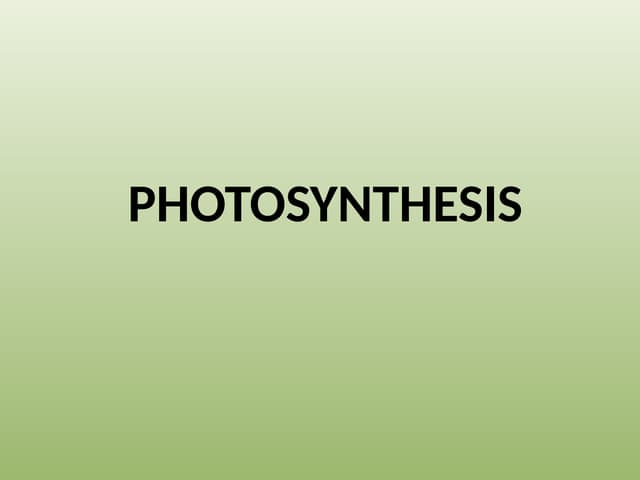 Photosynthesis | PPT