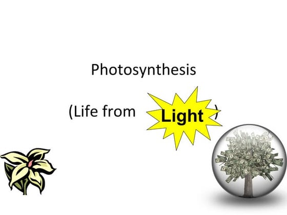 Cells | PPT | Biological Sciences | Science