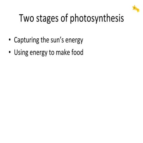Photosynthesis | PPT