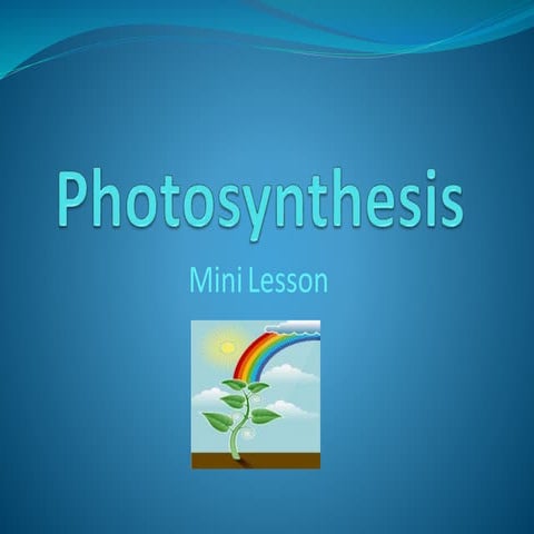 Photosynthesis Ppt | PPT