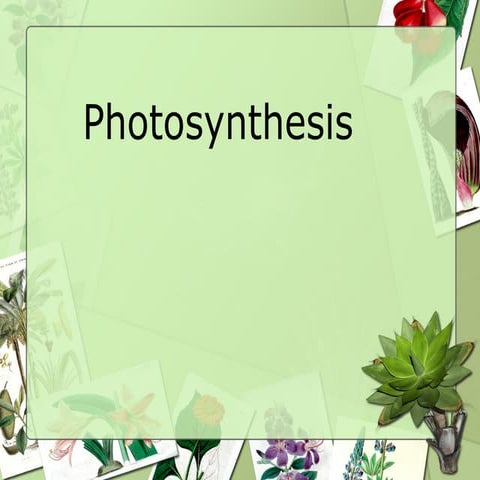 Photosynthesis | PPT