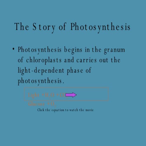Photosynthesis | PPT