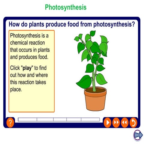 Photosynthesis | PPT