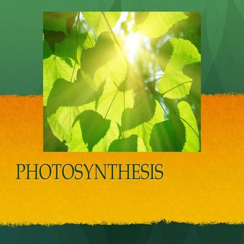 Photosynthesis | PPT