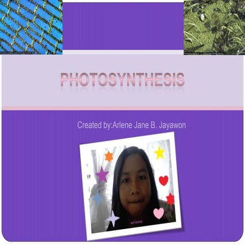 Photosynthesis | PPT