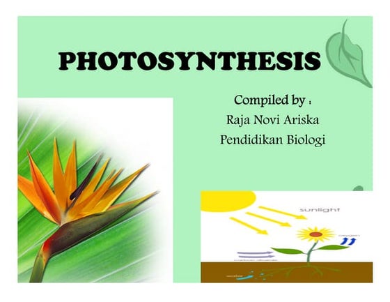 grade 9 -Photosynthesis Power point Presentation | PPTX | Chemistry | Science