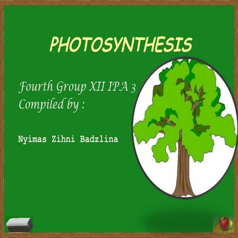 Photosynthesis (Text Explanation) | PPT