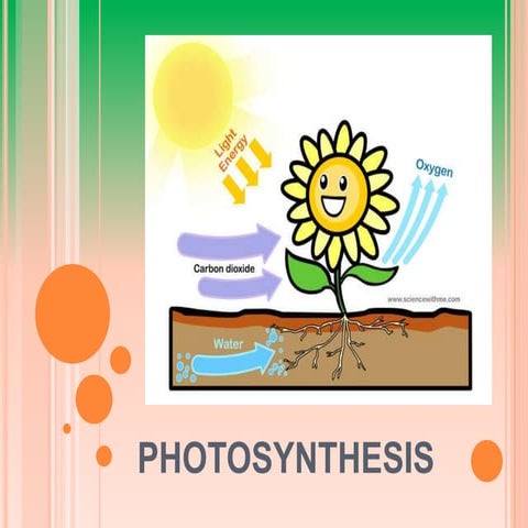 Energy and photosynthesis