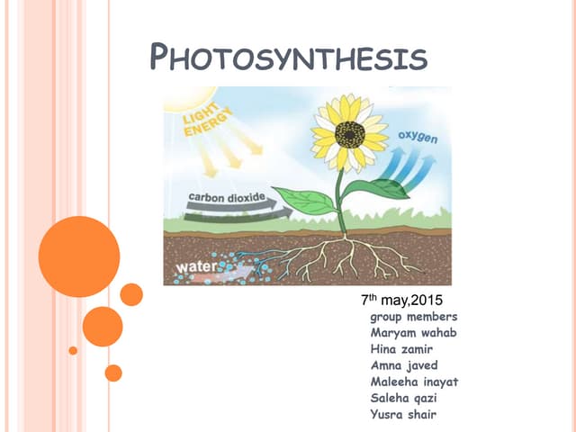 Light reaction of photosynthesis | PPTX | Chemistry | Science