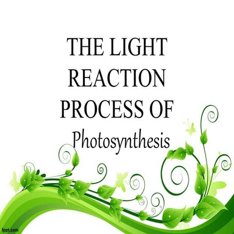 Photosynthesis | PPTX