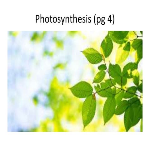 Photosynthesis | PPT