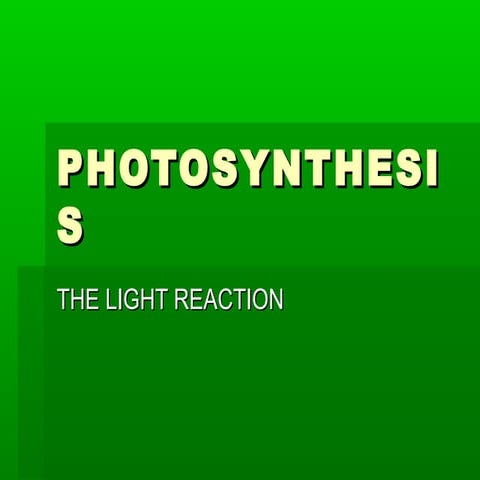 Photosynthesis | PPT