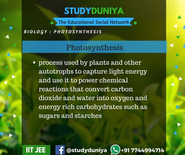 Photosynthesis | PPTX