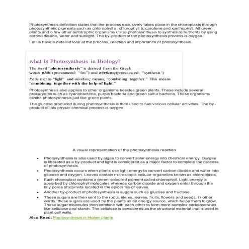 8th Grade Science: Photosynthesis Slides | PDF