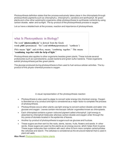 Photosynthesis class 10.pptx | Chemistry | Science