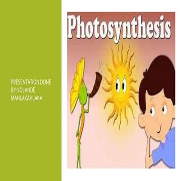 Photosynthesis | PPTX