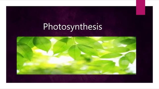photosynthesisintroduction-Grade 9 Science.ppt | Chemistry | Science