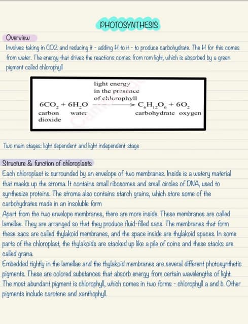 Chemistry experiments .pdf