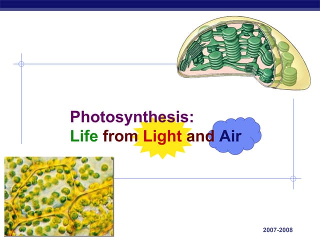 Light independent reactions of photosynthesis | PPTX