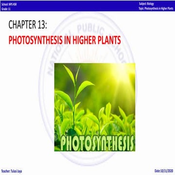 Photosynthesis.pptx