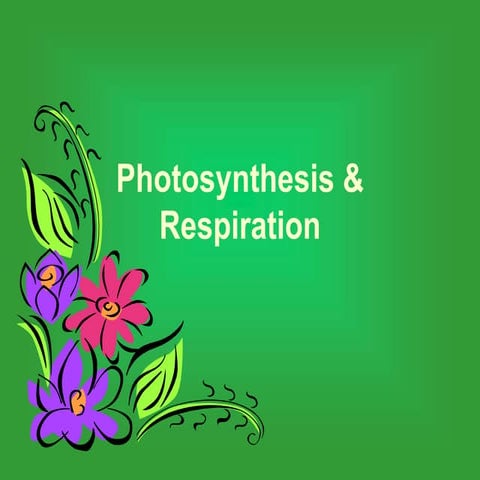Photosynthesis and Cellular Respiration | PPT