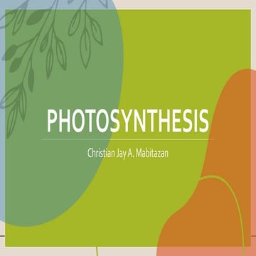 PHOTOSYNTHESIS.pptx