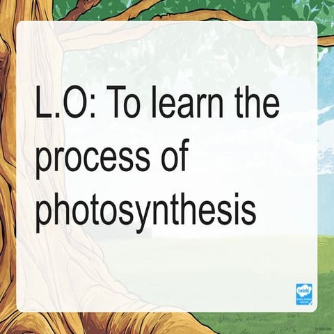 Photosynthesis (class 10) | PPTX