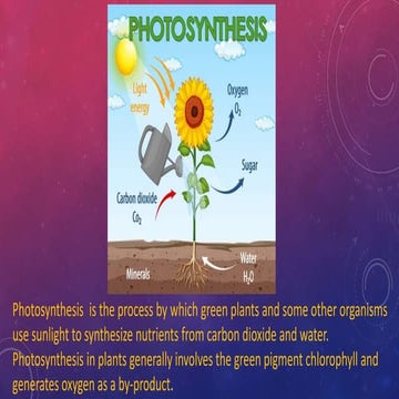 PhotosynthesisPresentationgsgagdagd.pptx