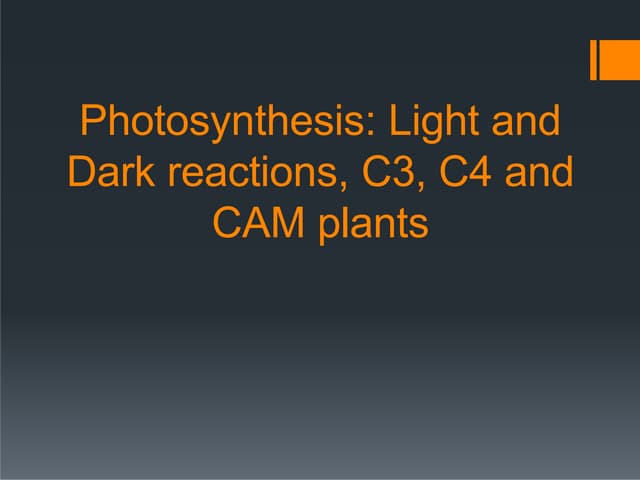 Photosynthesis | PPT