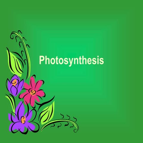 Grade 9-photosynthesis and respiration.pptx