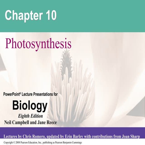 Photosynthesis | PPT
